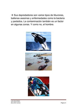 LOS DELFINES | DOCX