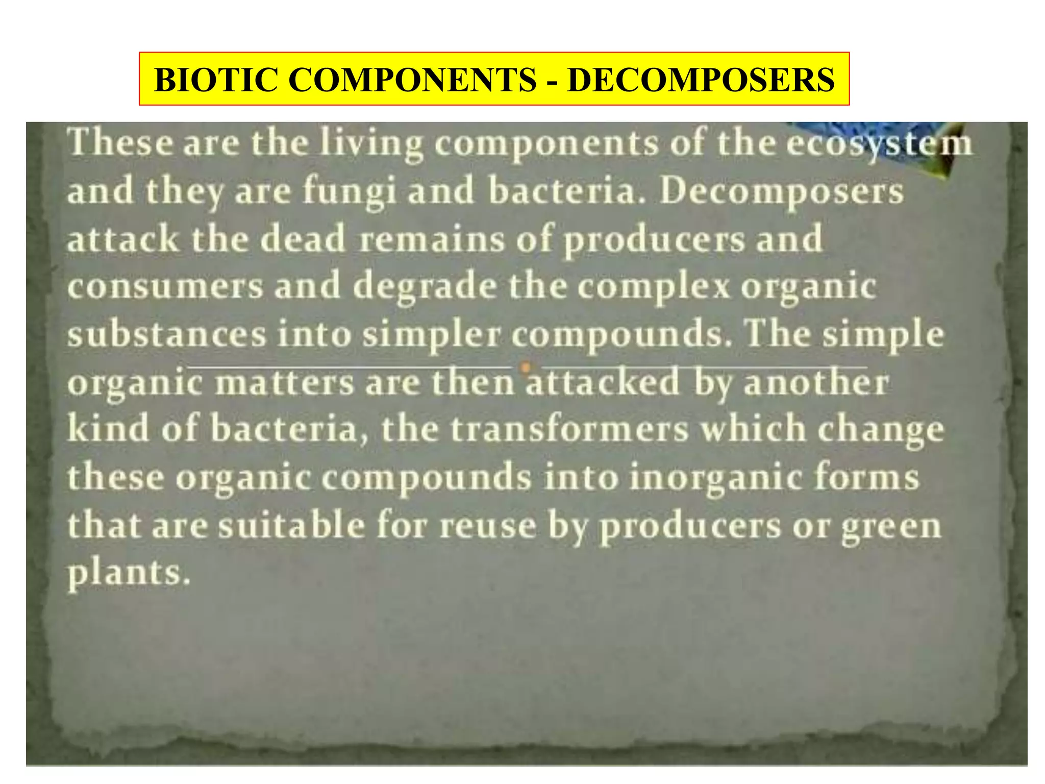 ES unit - 1 ECOSYSTEM PPT.pptx | Geology | Science