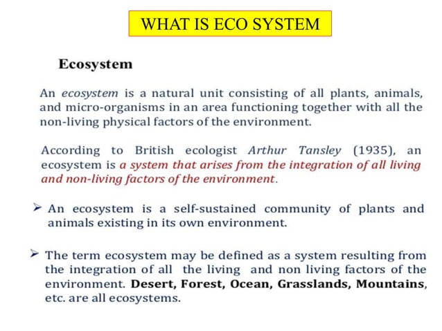 ES unit - 1 ECOSYSTEM PPT.pptx | Geology | Science
