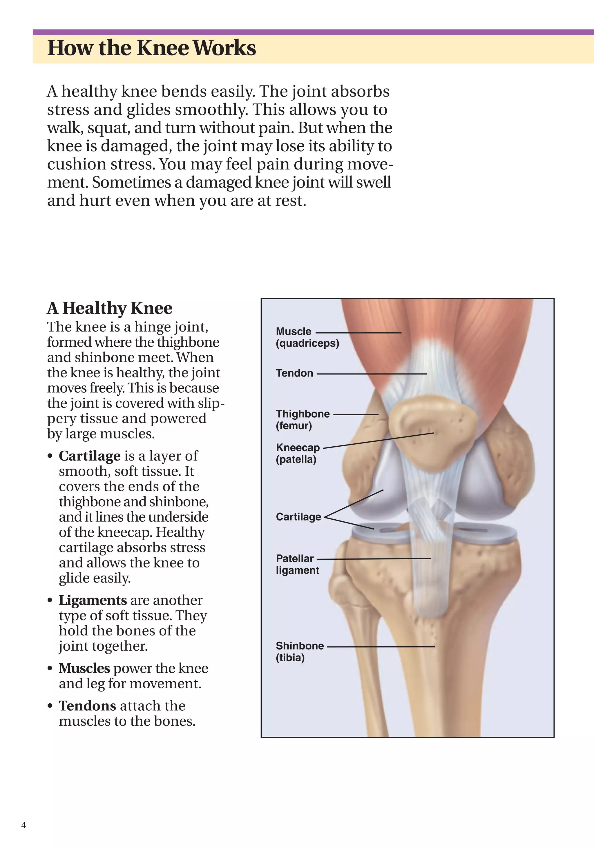 E Sur - Total Knee Replacement.pdf