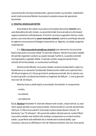 ţEsuturile musculare | DOCX