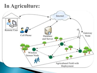 wireless sensor networks based on iot | PPTX
