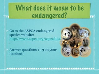 Endangered Species Webquest | PPT