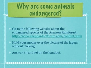 Endangered Species Webquest | PPT