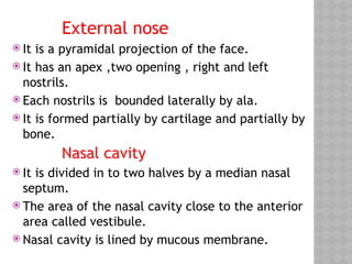 1.nose_and_nasal_cavity.pptxhdhfjgkgkgjfjvjgkhkvhc | PPTX
