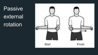 exercise therapy shoulder and scapula free exercise | PPT