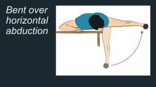 exercise therapy shoulder and scapula free exercise | PPT