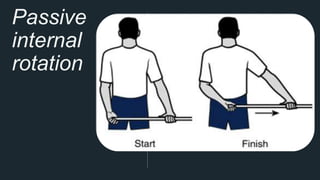 exercise therapy shoulder and scapula free exercise | PPT