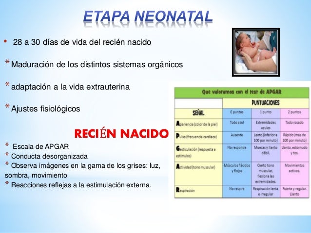 Etapa neonatal 12 2