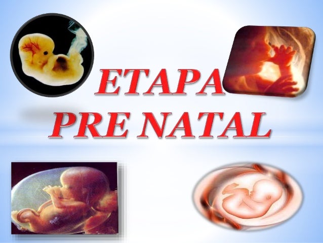 Etapa prenatal