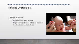 Etapa pre, peri y postnatal, reflejos (1).pptx