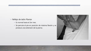 Etapa pre, peri y postnatal, reflejos (1).pptx