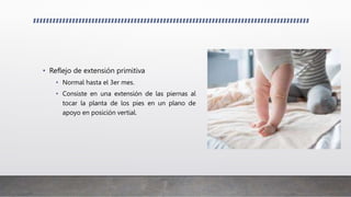 Etapa pre, peri y postnatal, reflejos (1).pptx