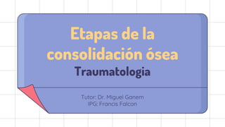 etapas de la consolidación osea | PPTX | Death, Injury, or Military ...