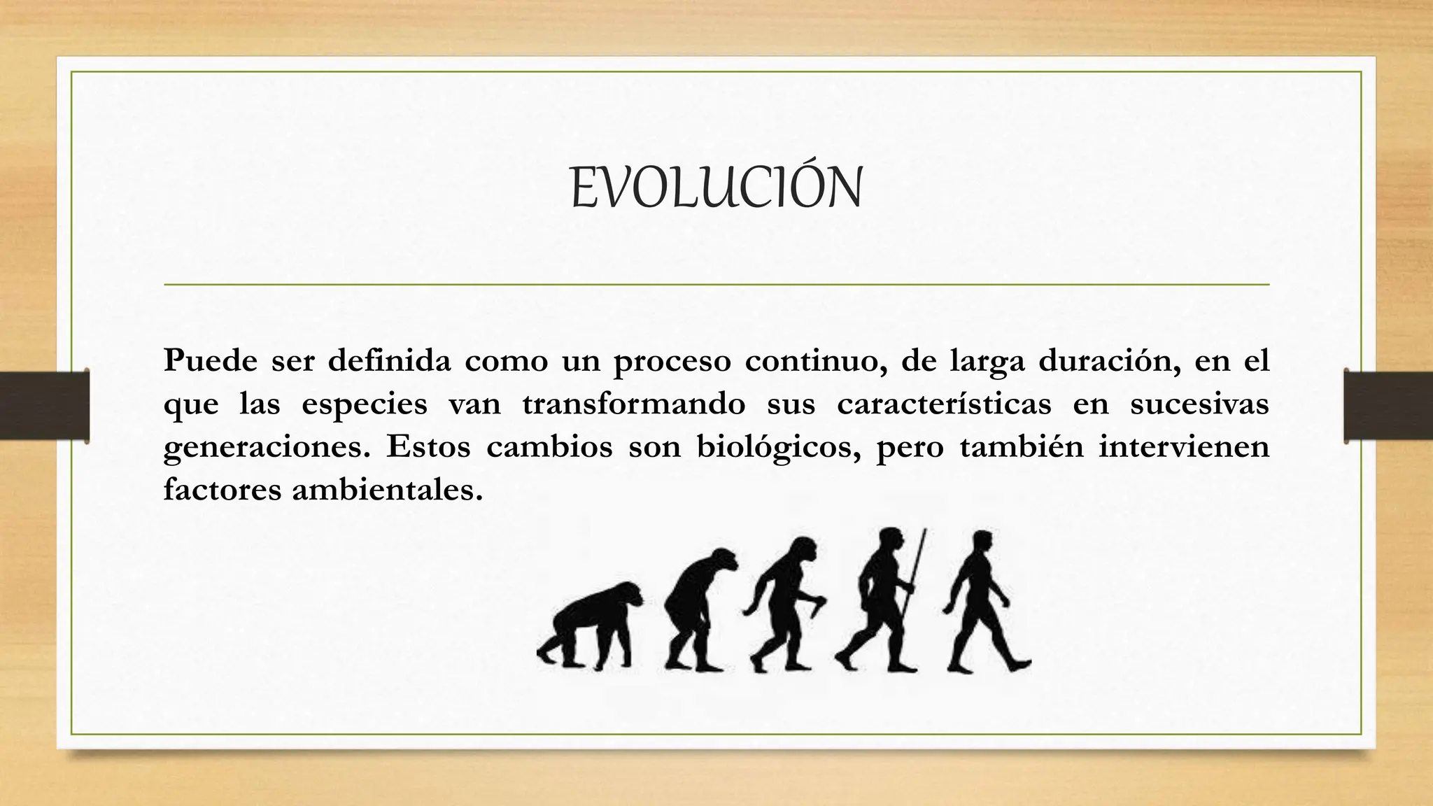 Etapas de la Evolución de hombre - educación | PPTX | Biological ...
