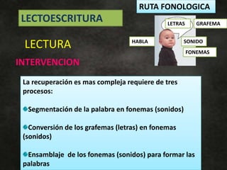 Etapas de la lectoescritura | PPTX