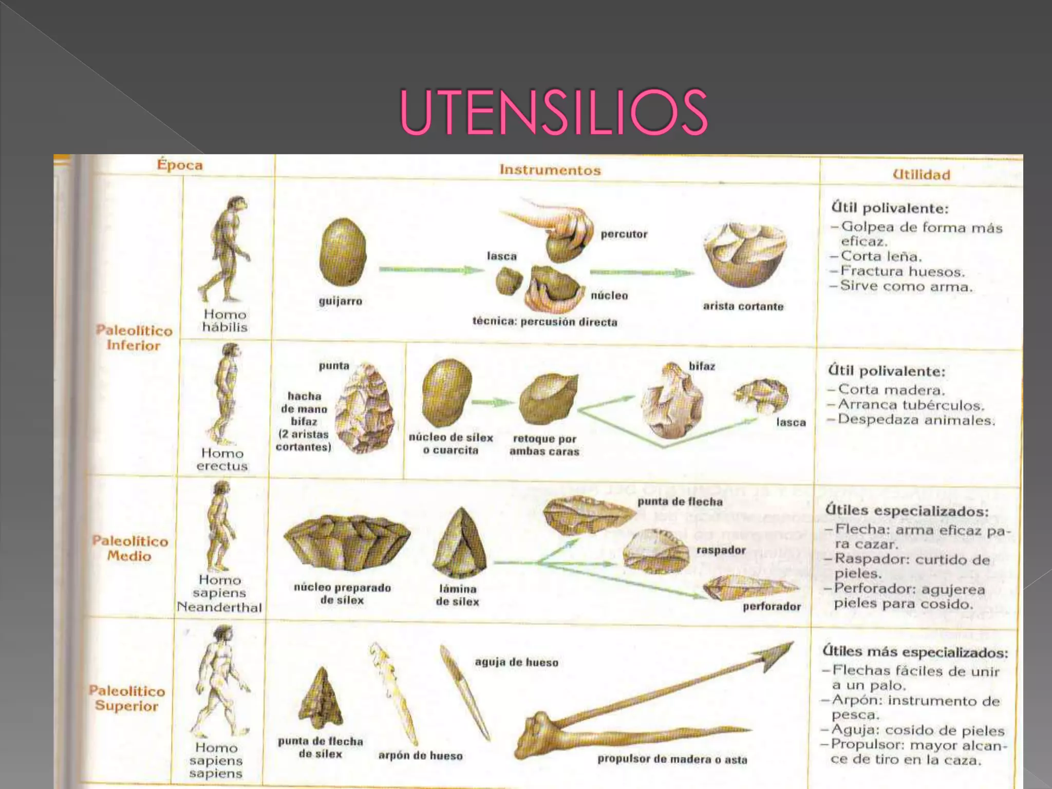 Etapas de la prehistoria | PPT