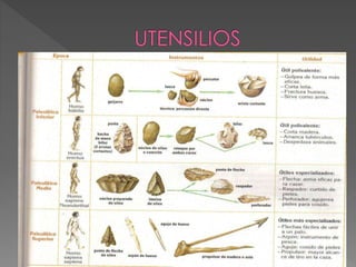 Etapas de la prehistoria | PPTX
