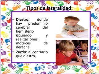 Etapas de lateralidad | PPTX
