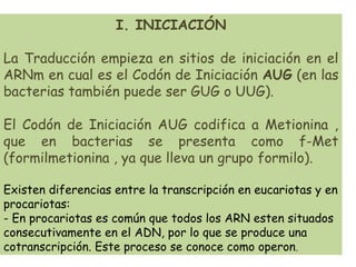 Etapas de la traducción del ARN | PPT