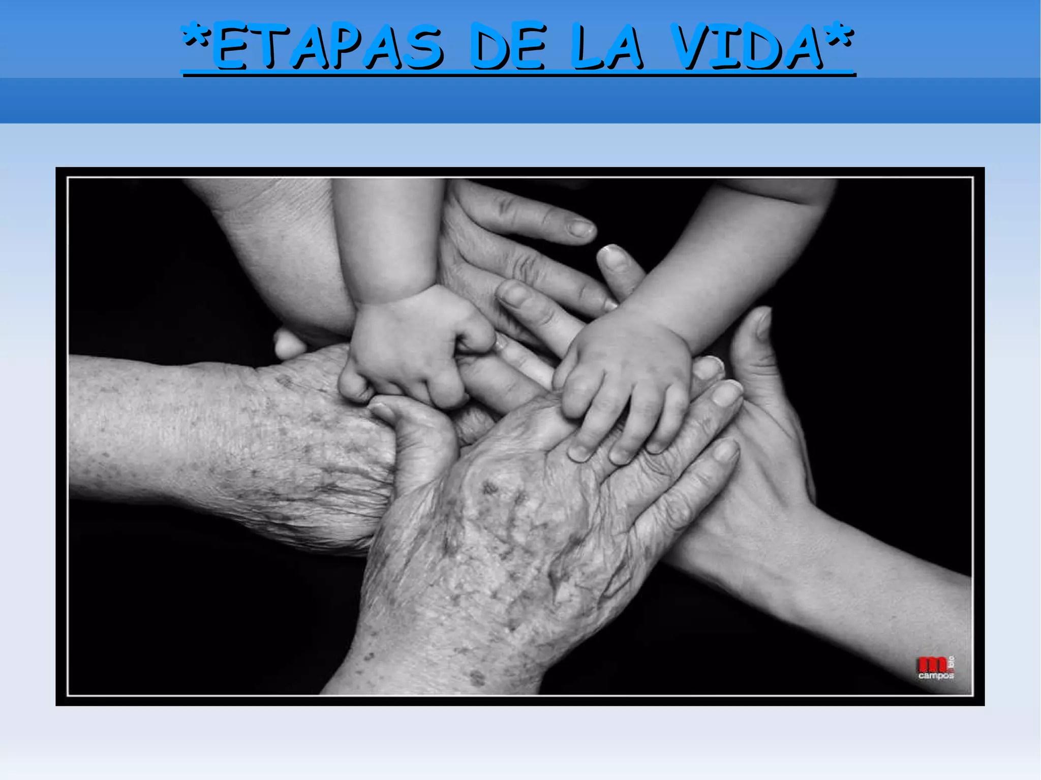 Etapas de la vida | ODP