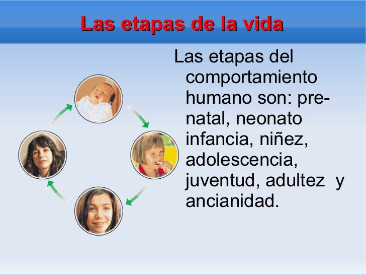 Etapas De La Vida