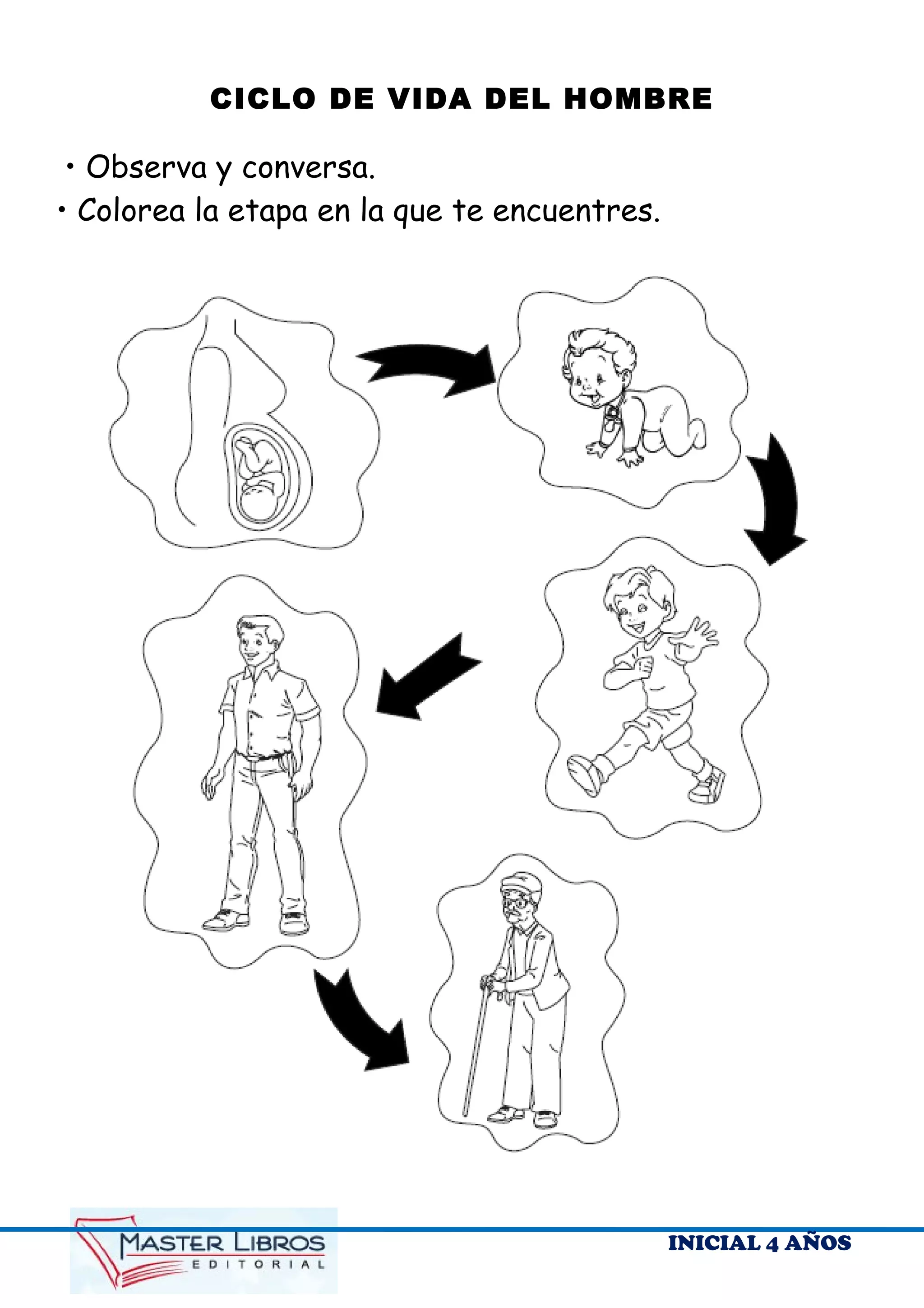 Etapas de la vida | DOC