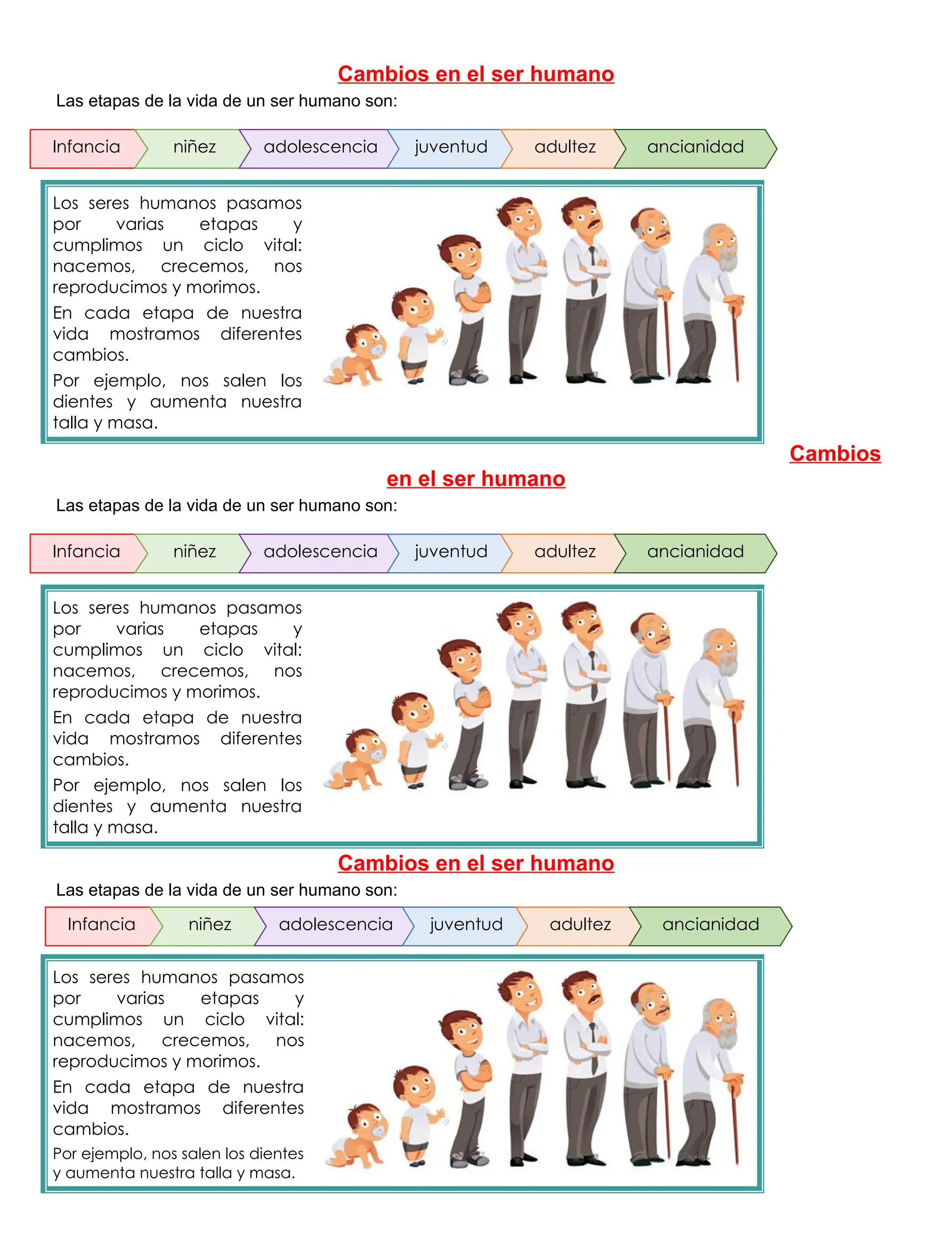 ETAPAS DE LA VIDA DEL SER HUMANO PRIMARIA | PPT