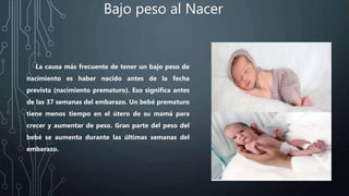 Etapas del desarrollo | PPTX