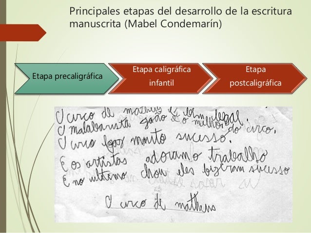 Etapas del desarrollo de la escritura