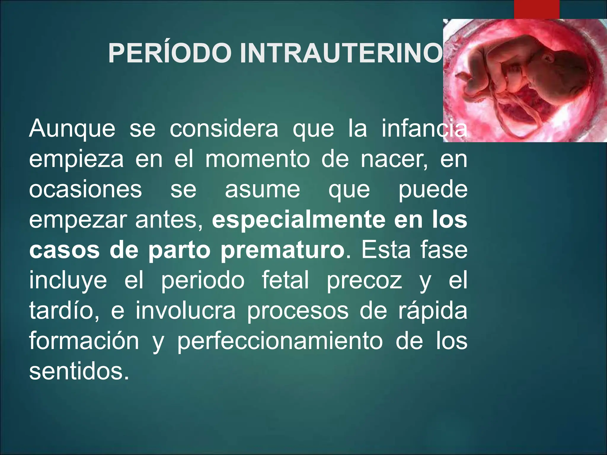 Etapas del desarrollo de la niñez.ppt