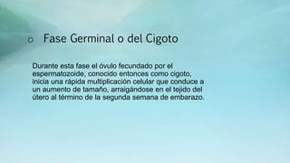 Etapas del desarrollo humano | PPTX