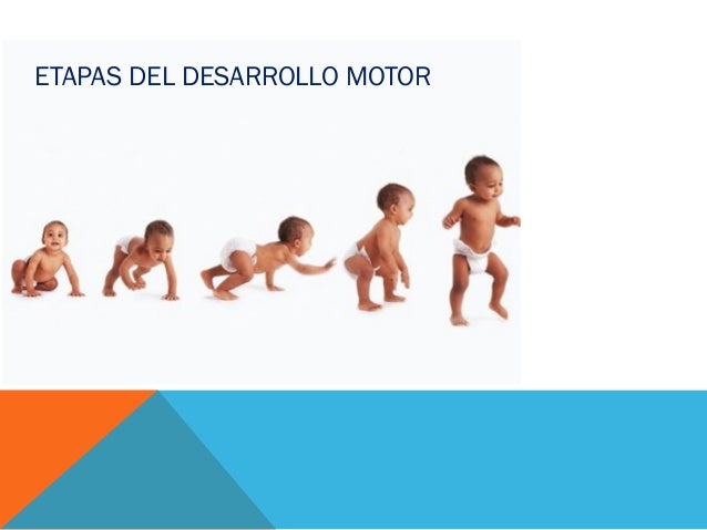 Etapas del desarrollo motor