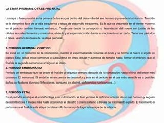 Etapas del desarrollo prenatal | PPTX