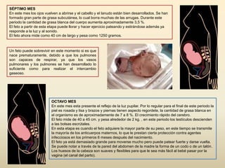 Etapas del desarrollo prenatal | PPTX