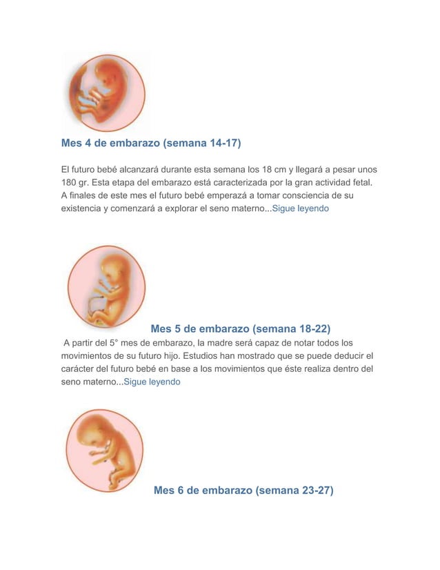 Etapas del embarazo | DOCX