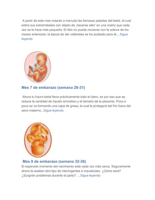 Etapas del embarazo | DOCX