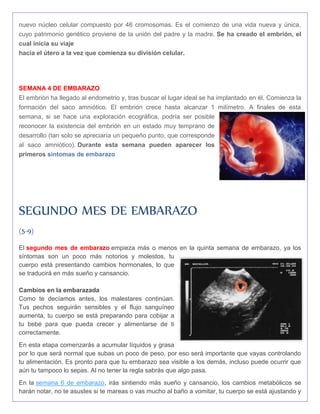 Etapas del embarazo | DOCX