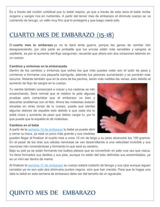 Etapas del embarazo | DOCX