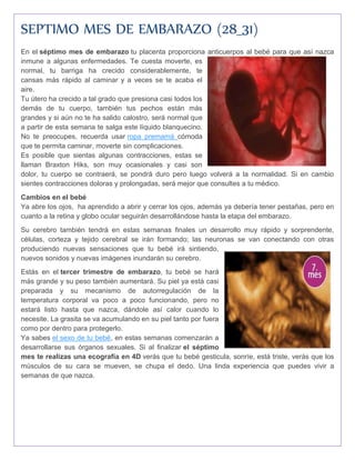 Etapas del embarazo | DOCX