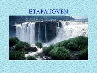 Etapas de los rios | PPT