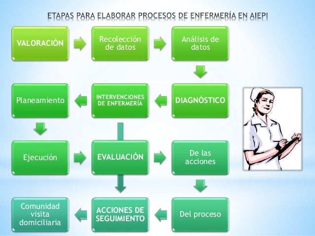 Etapas del pae profa. vitalia