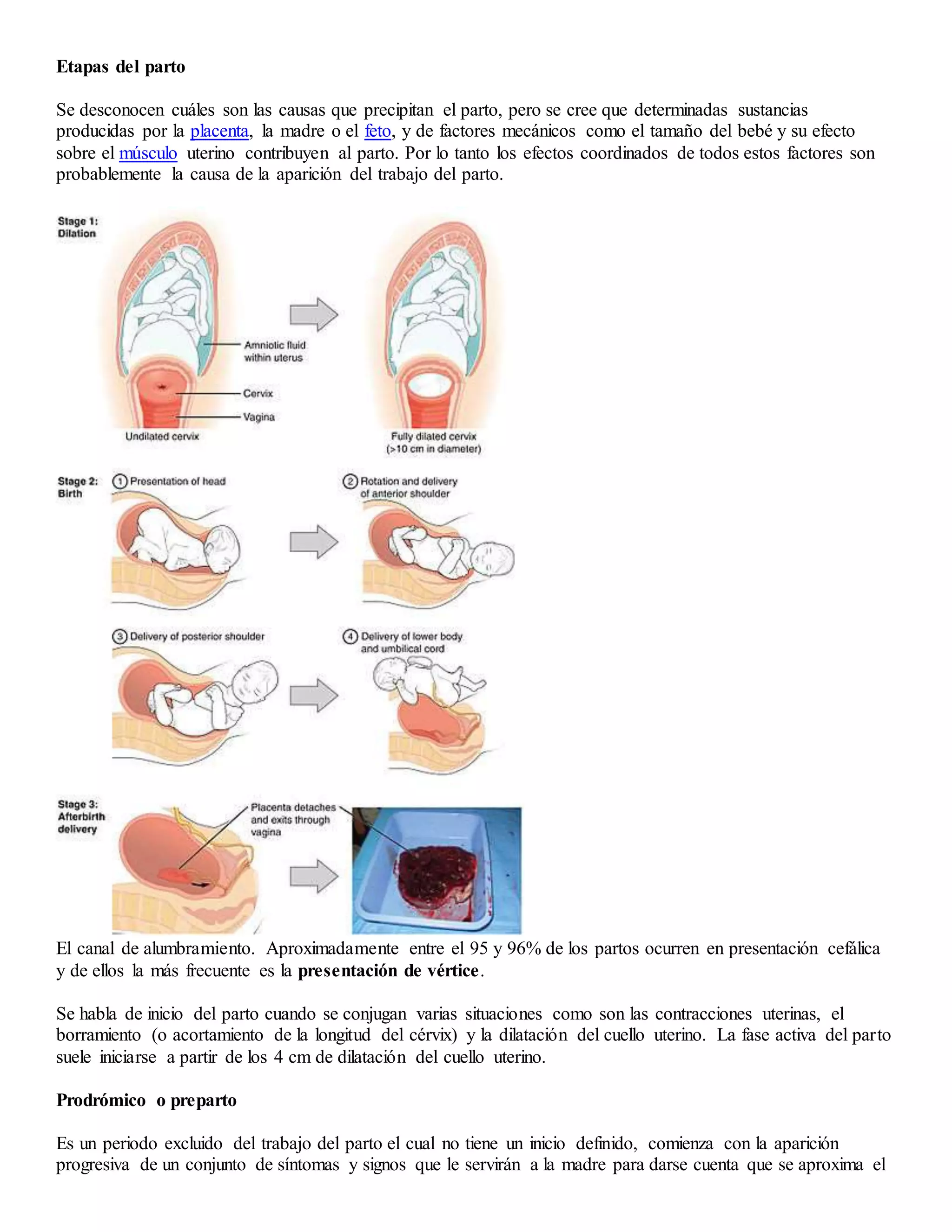 Etapas del parto | DOCX