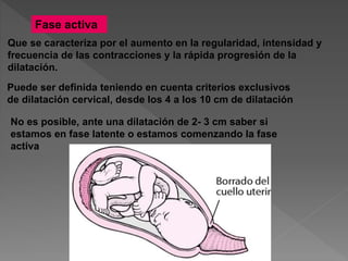 Etapas del parto | PPTX