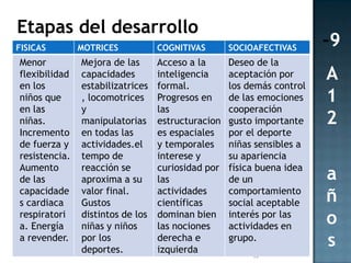 Cuales Son Las 6 Etapas Del Desarrollo Sensoriomotor