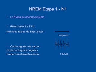 Etapas de sueño | PPT