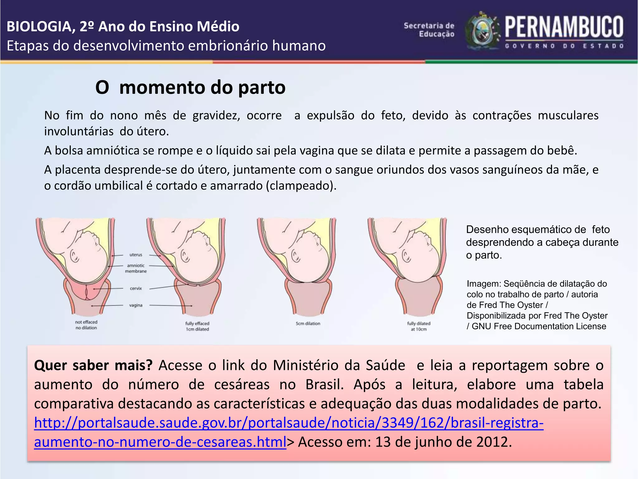 Etapas do desenvolvimento embrionário humano.ppt
