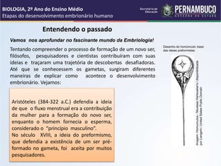 Etapas do desenvolvimento embrionário humano.ppt