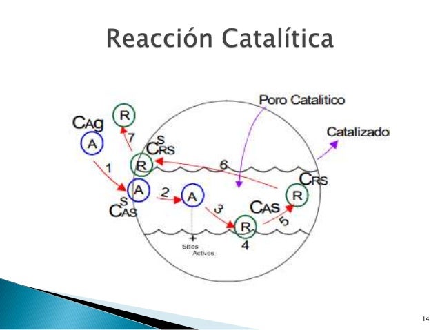 Etapas en una reacción catalítica.bueno
