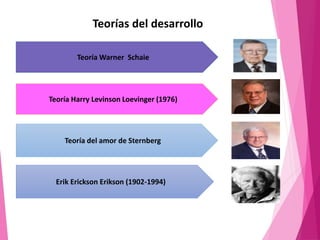 Etapas teóricos adulto joven | PPTX